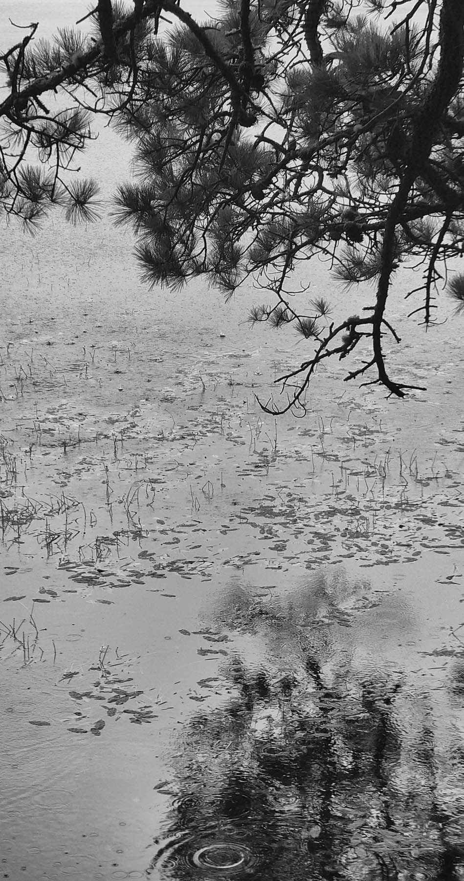 Black and White Didier Villanueva"